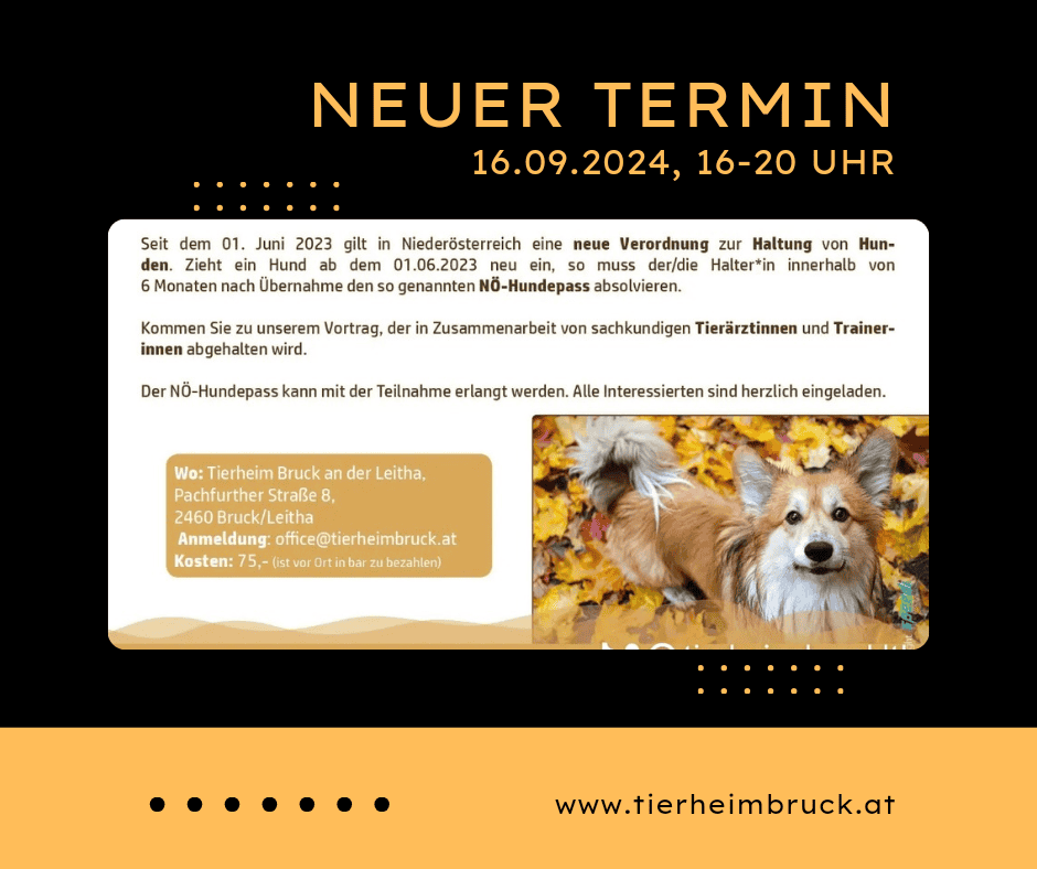 Neuer Termin für NÖ Hundepass - Tierheim Bruck an der Leitha